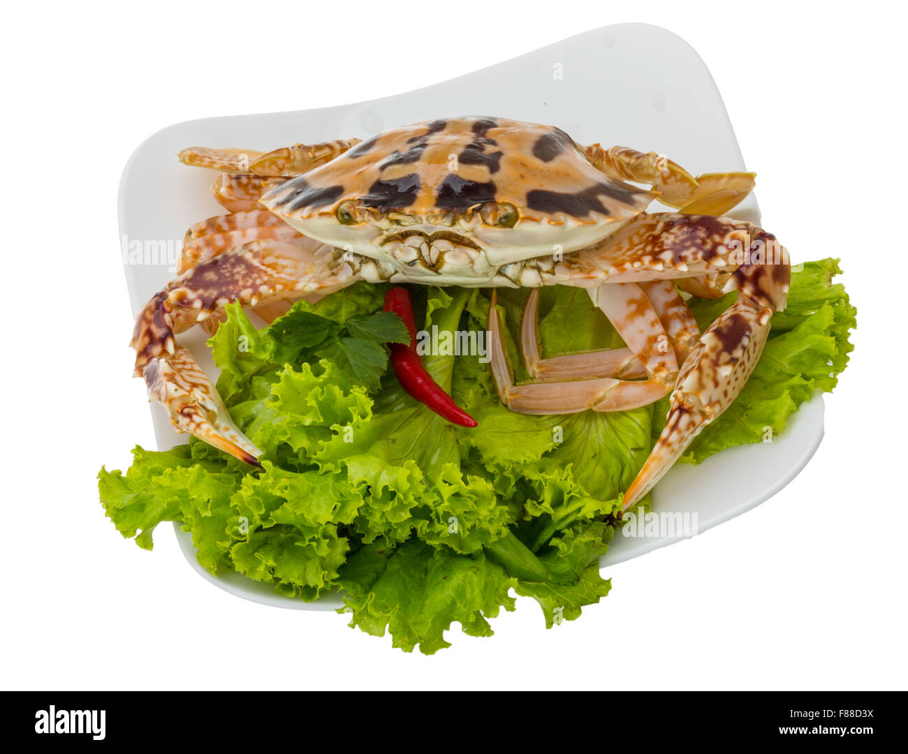 Raw red crab - ready for cooking Stock Photo - Alamy