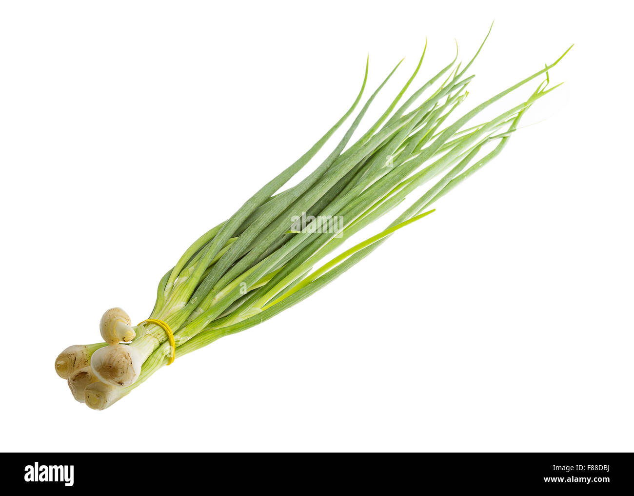 Green onion isolated on white background Stock Photo - Alamy