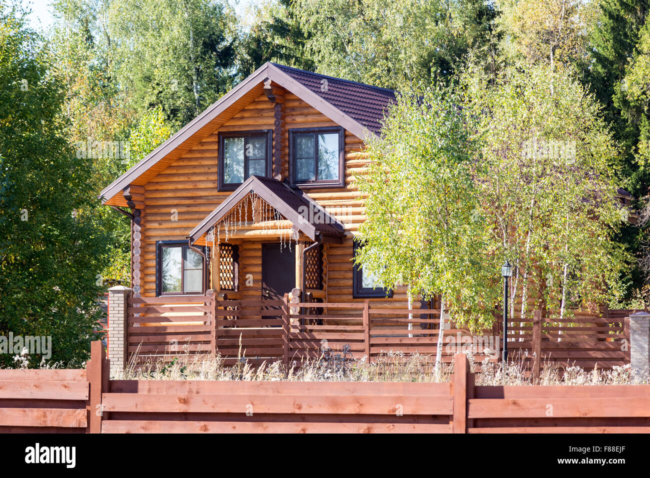 log house among the trees in the forest Stock Photo - Alamy