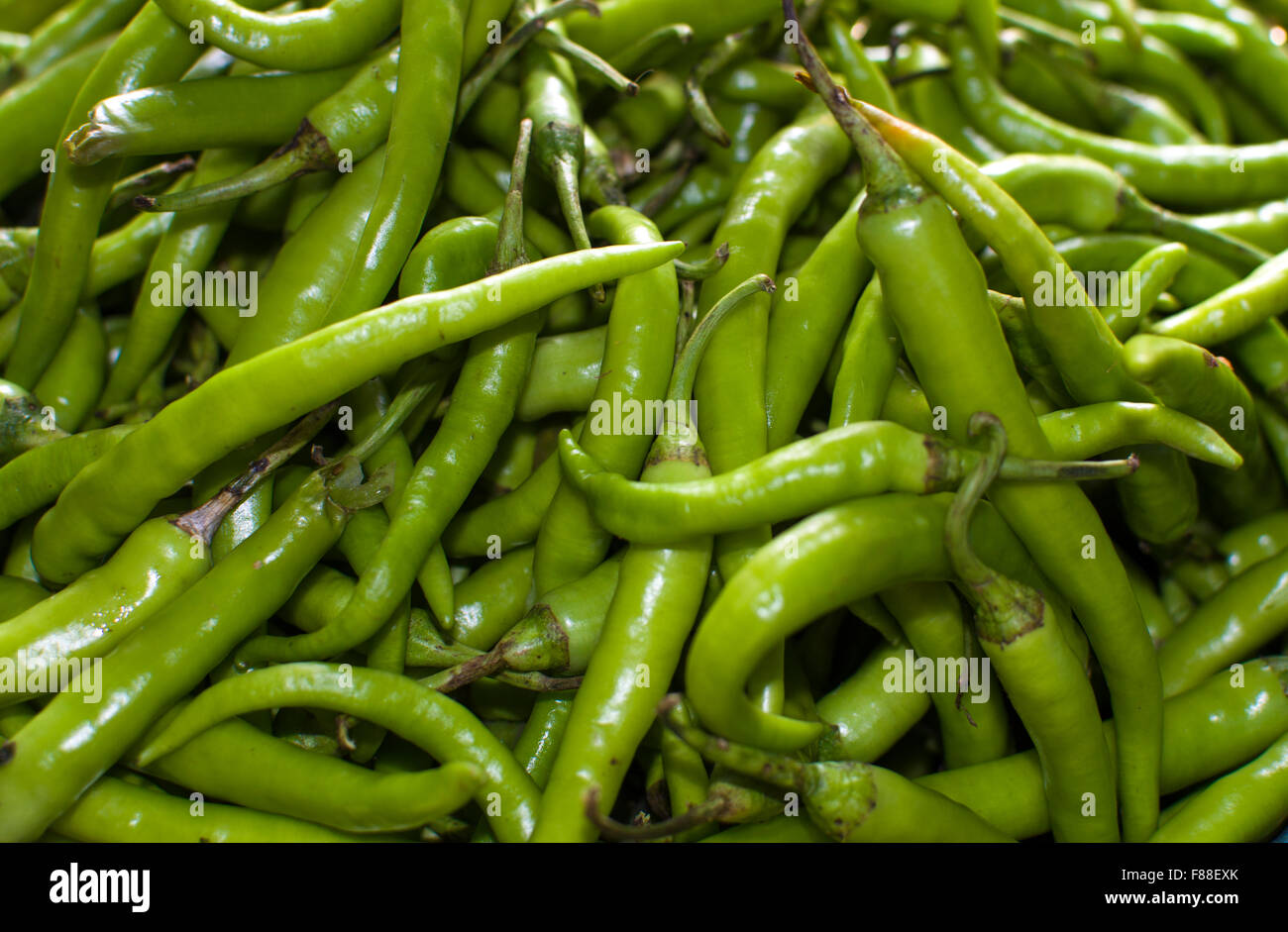 Green pepper pods hi-res stock photography and images - Alamy