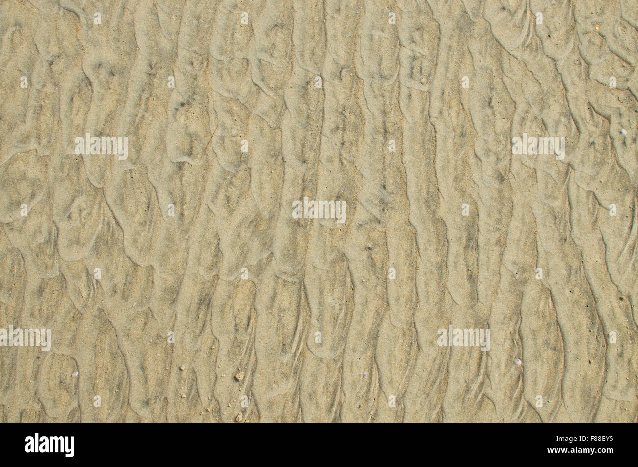 texture and background sea sand with drawing Stock Photo - Alamy