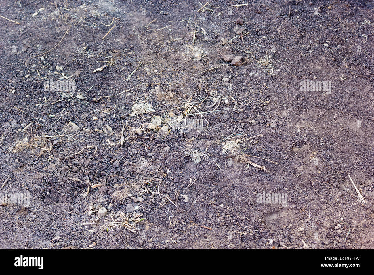 background of earth with lumps of clay and dried grass Stock Photo - Alamy