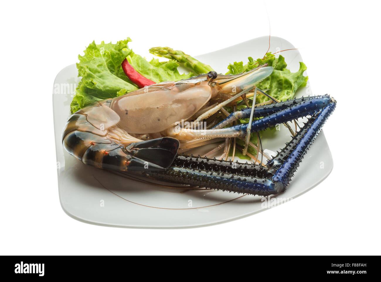 Big Freshwater prawn ready for cooking Stock Photo - Alamy