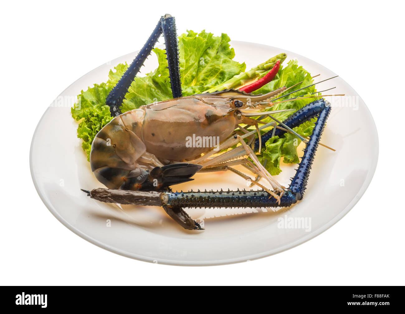 Big Freshwater prawn ready for cooking Stock Photo - Alamy
