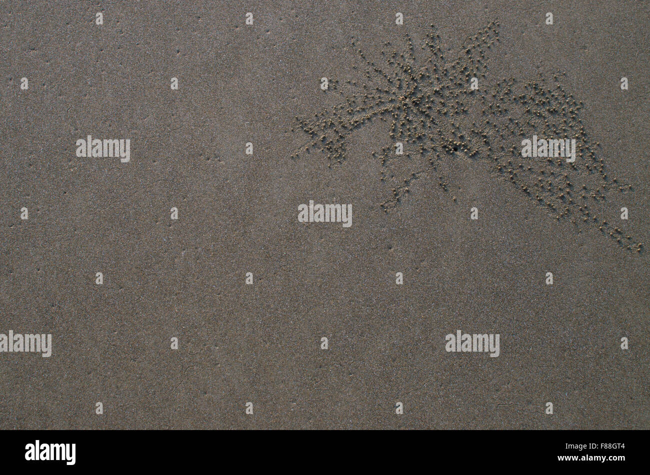 the texture and background sea sand with drawing Stock Photo - Alamy