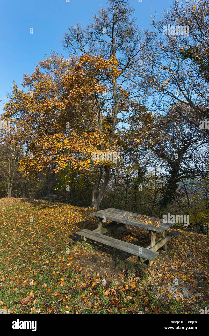 Italy, Piedmont, Turin, picnic table Stock Photo - Alamy