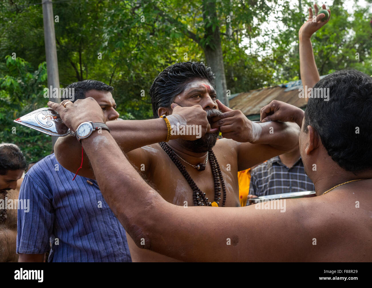 A Devotee Cheek Is Pierced With A Skewer By A Priest At Thaipusam Hindu ...