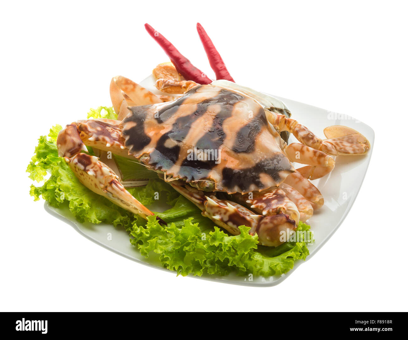 Red crab isolated on white Stock Photo - Alamy