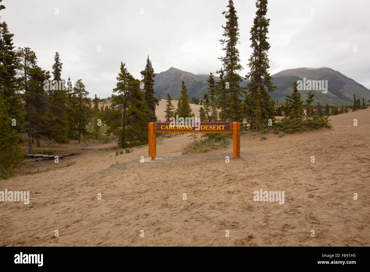 carcross desert yukon canada Stock Photo - Alamy