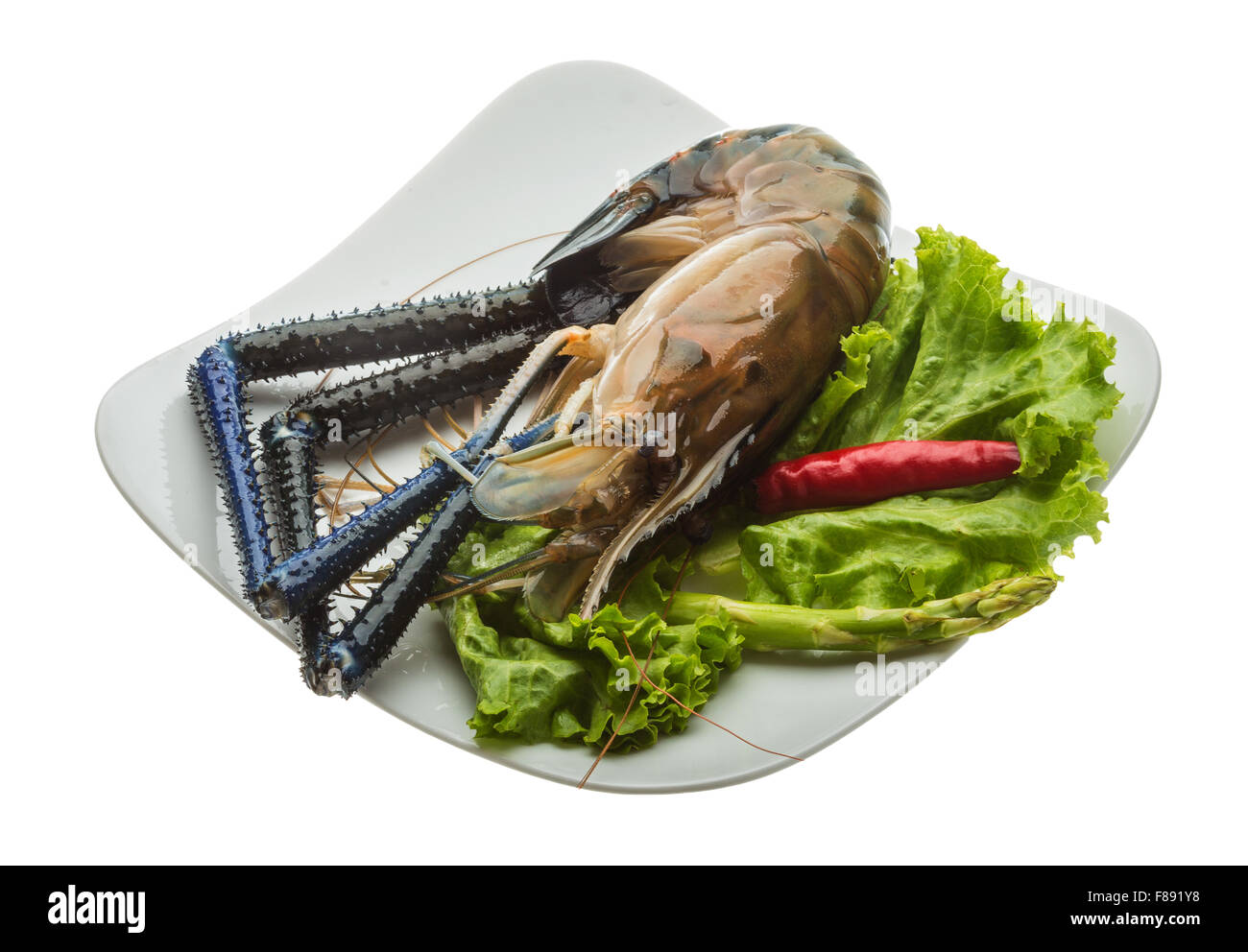 Freshwater prawn hi-res stock photography and images - Alamy