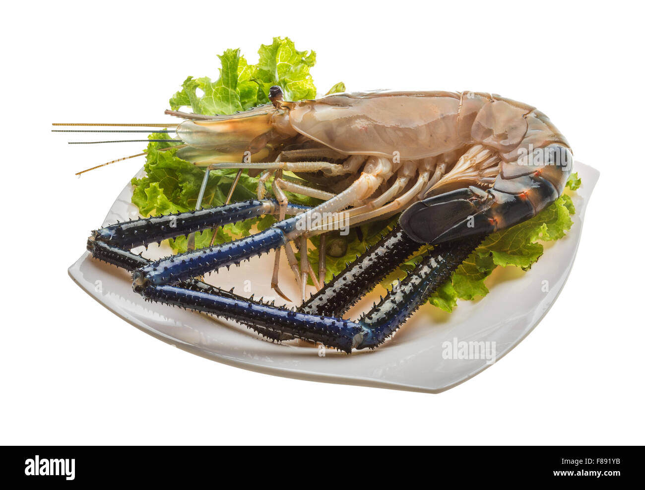 Big Freshwater prawn ready for cooking Stock Photo - Alamy