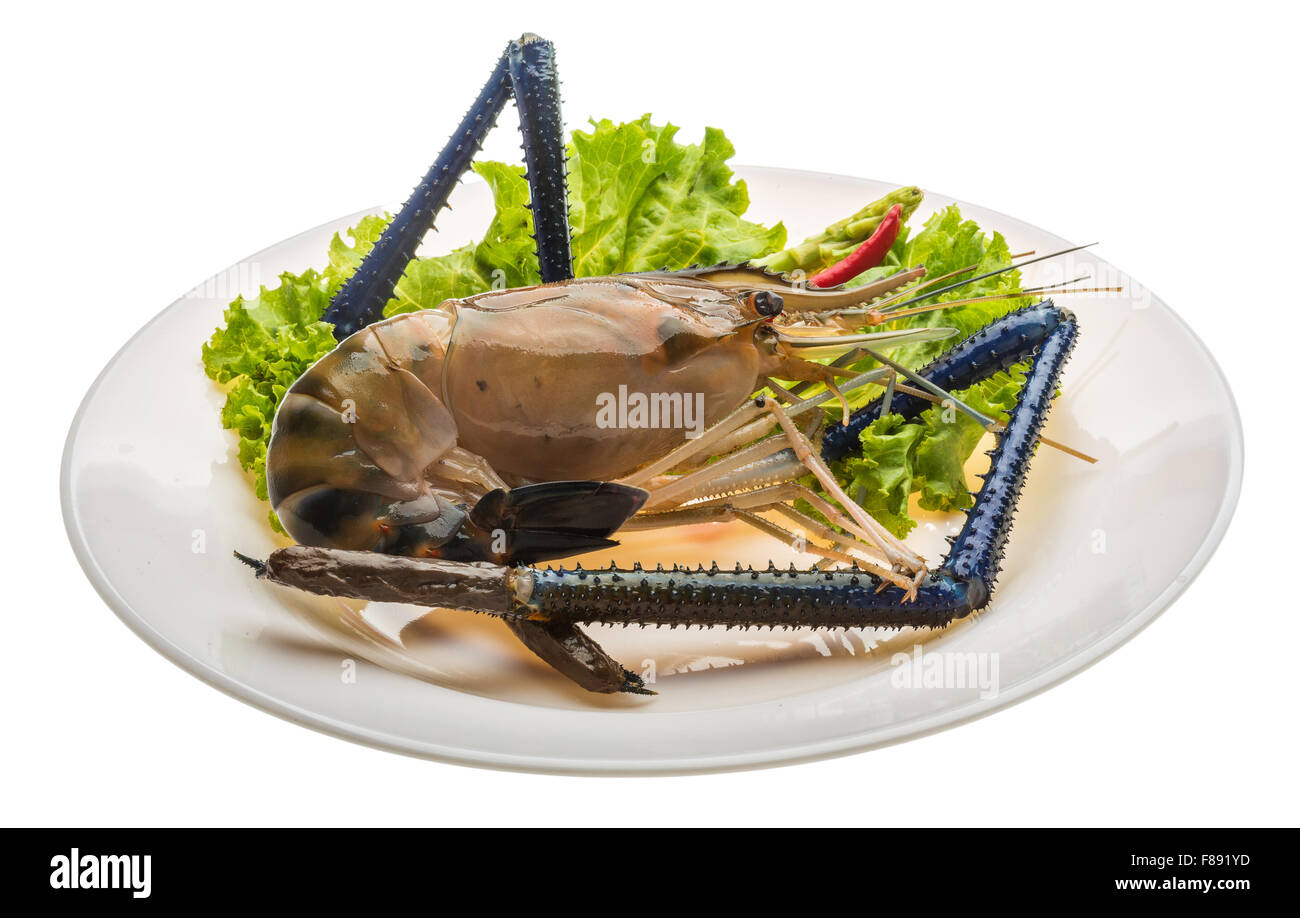 Big Freshwater prawn ready for cooking Stock Photo - Alamy