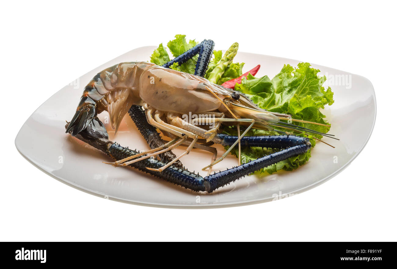 Big Freshwater prawn ready for cooking Stock Photo - Alamy