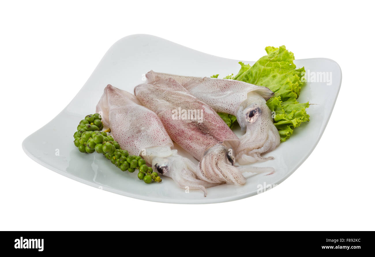 Raw calamari isolated on white background Stock Photo - Alamy