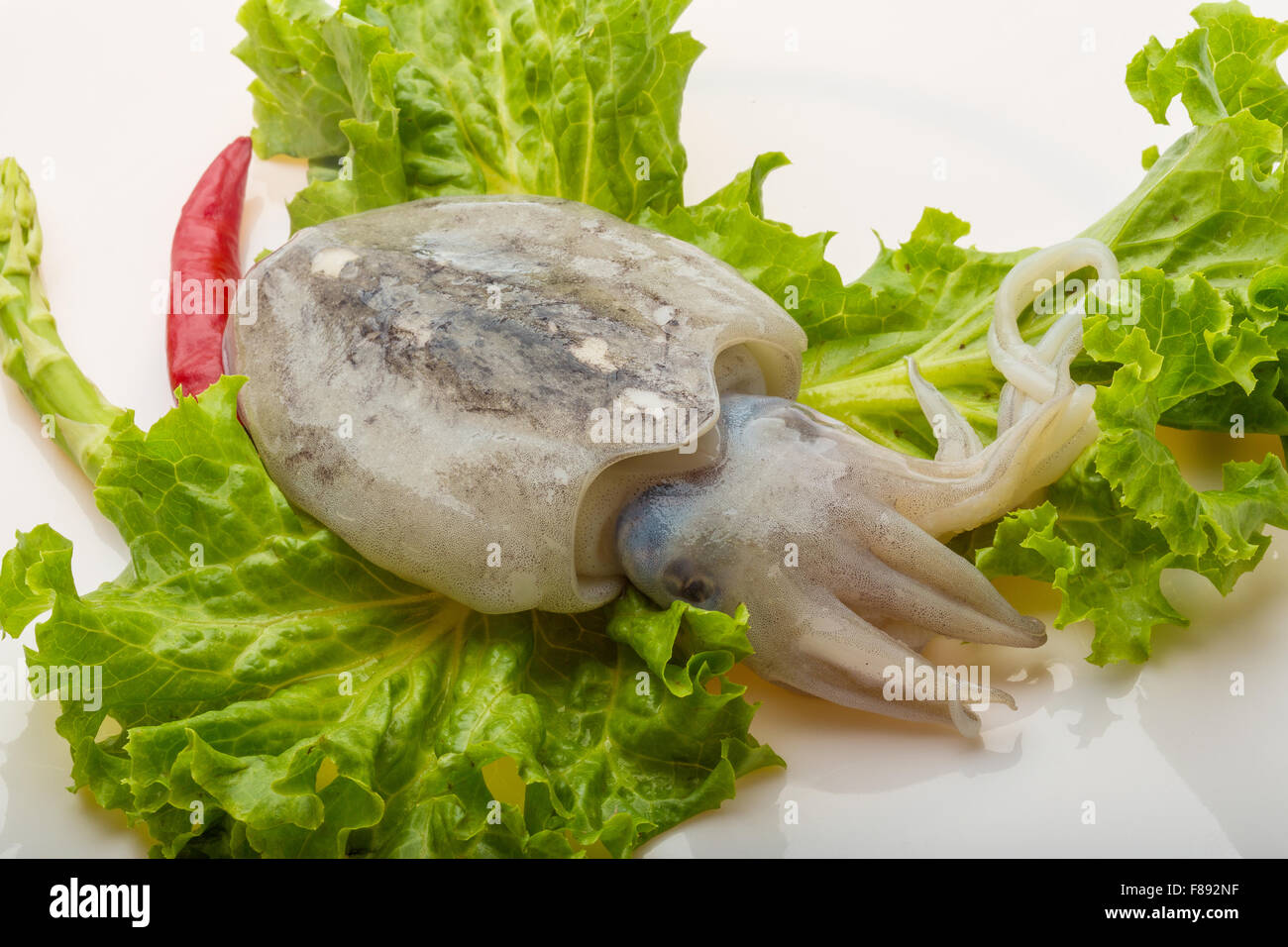 Raw cuttlefish ready for cooking Stock Photo - Alamy