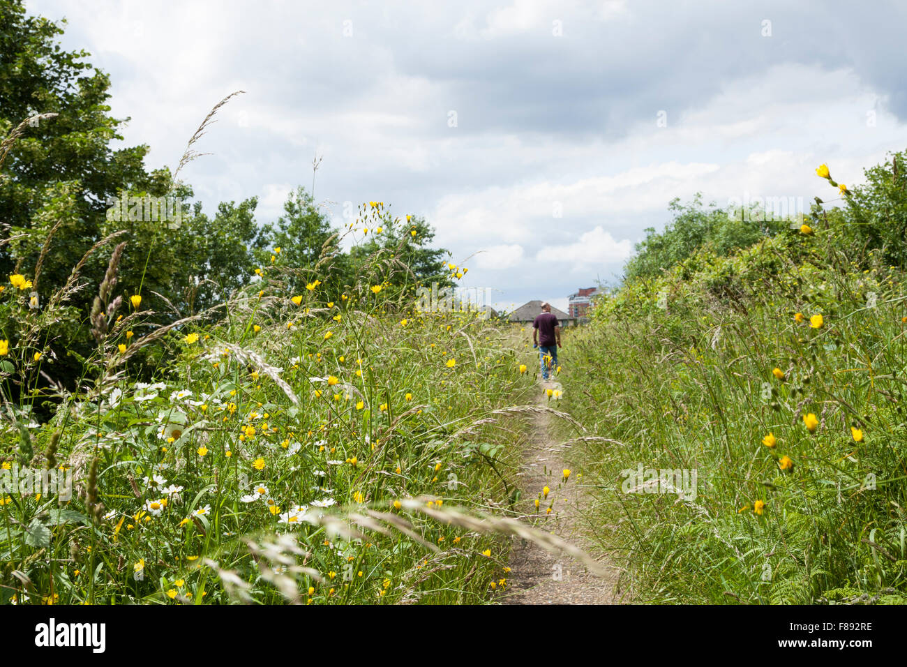 Pathway pathways path way ways hi-res stock photography and images - Alamy