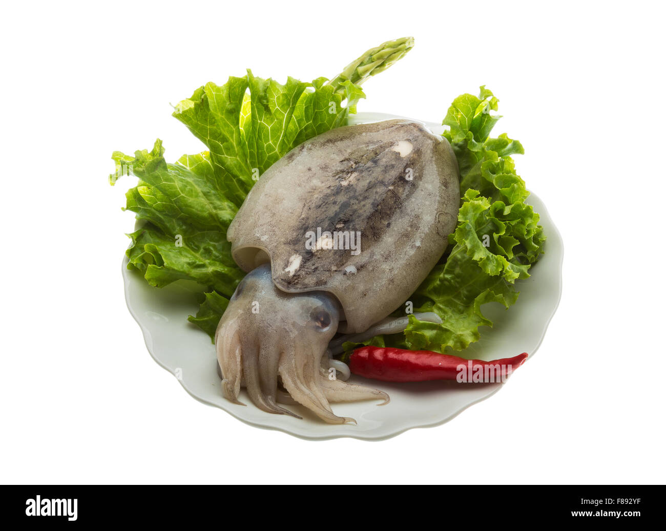Raw cuttlefish ready for cooking Stock Photo - Alamy