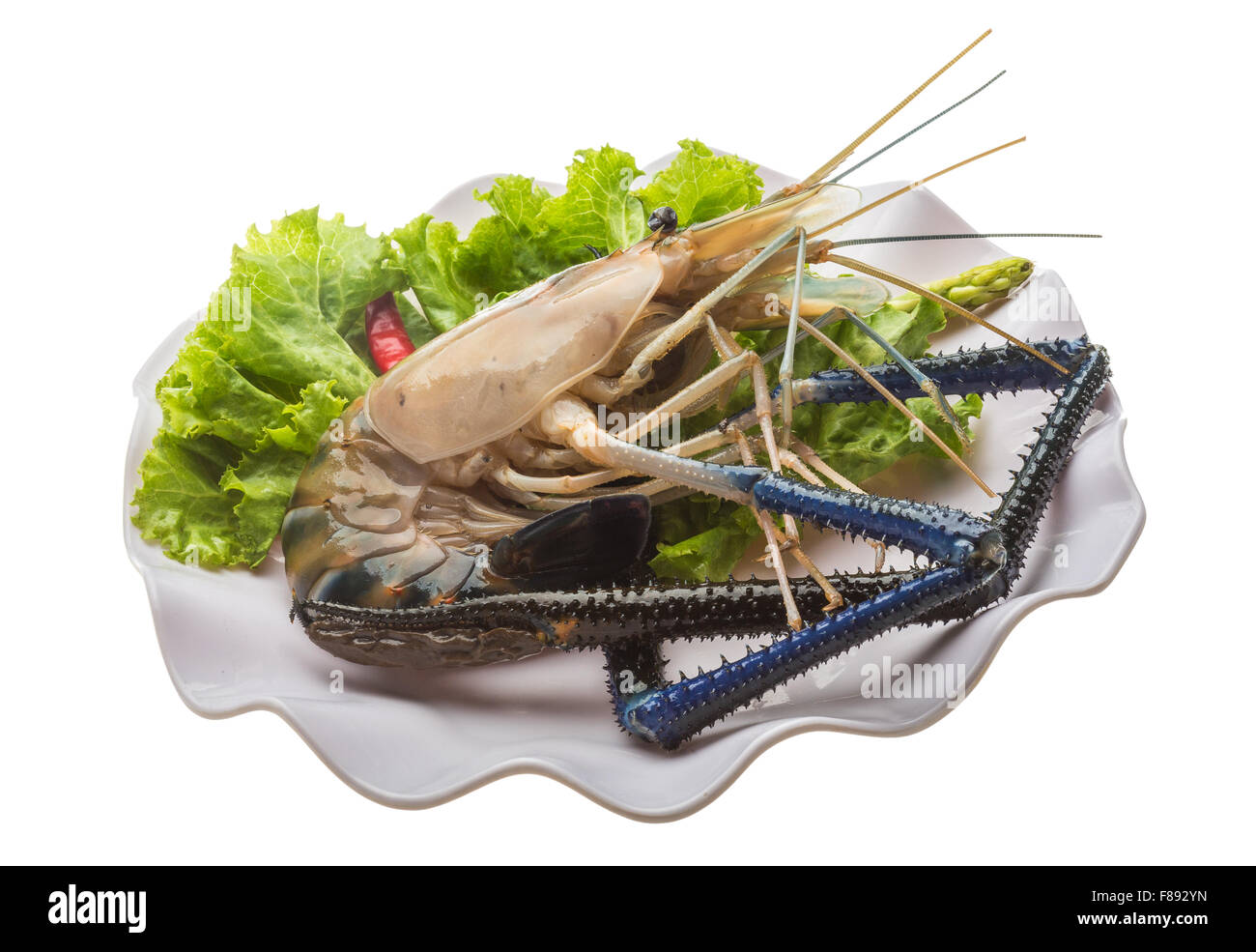 Big Freshwater prawn ready for cooking Stock Photo - Alamy