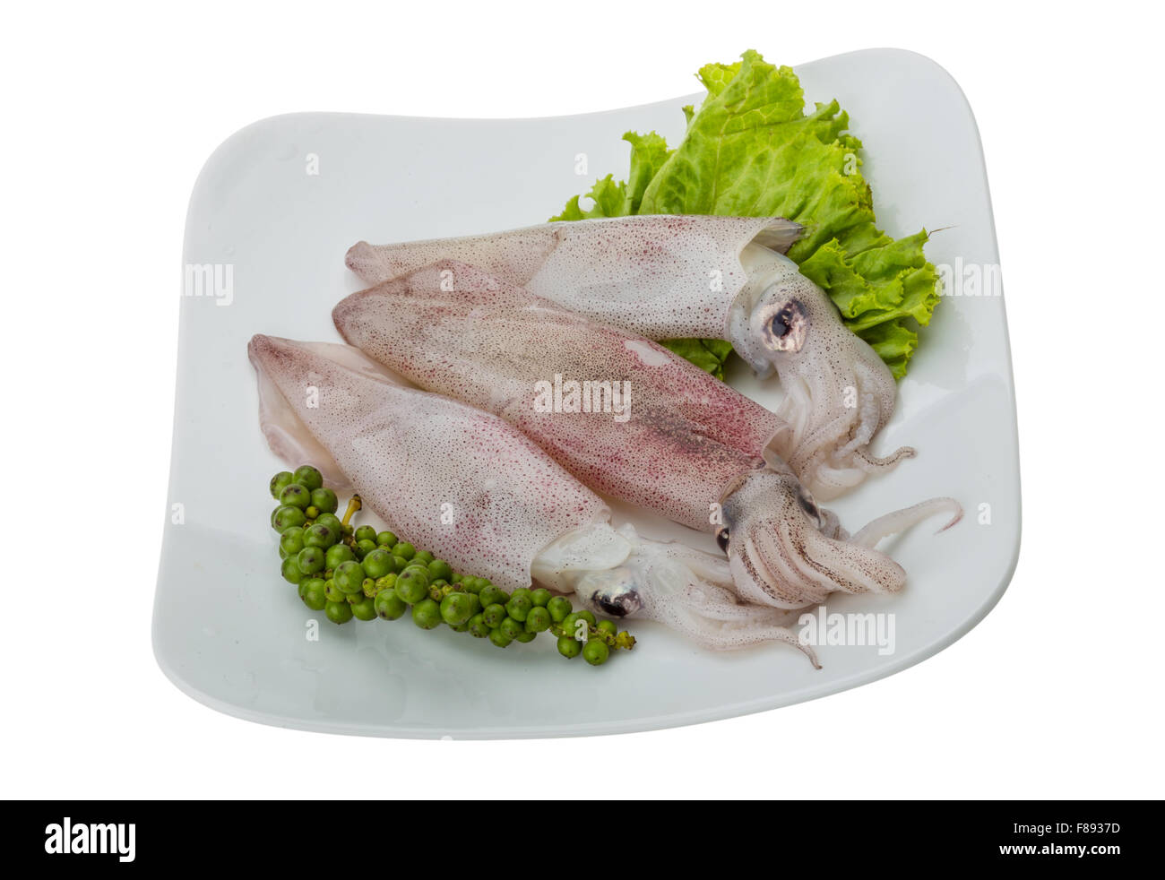 Raw calamari isolated on white background Stock Photo - Alamy
