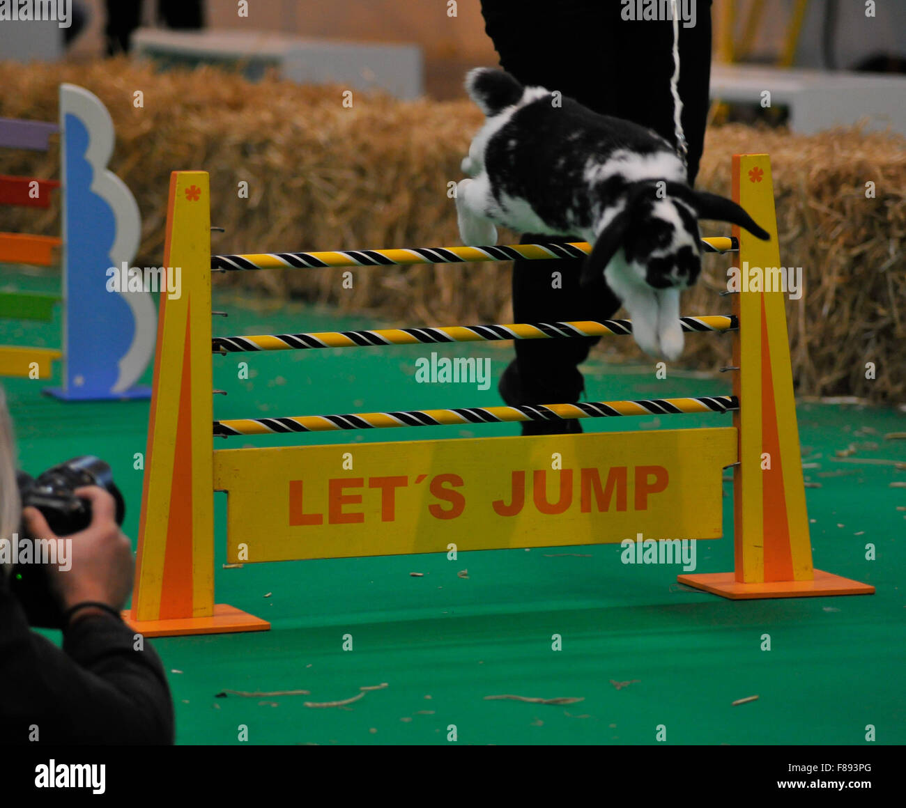 National Pet Show 2015 - Rabbit Grand National Photocall at the NEC ...