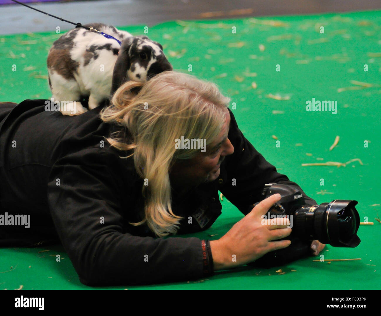 National Pet Show 2015 - Rabbit Grand National Photocall at the NEC ...