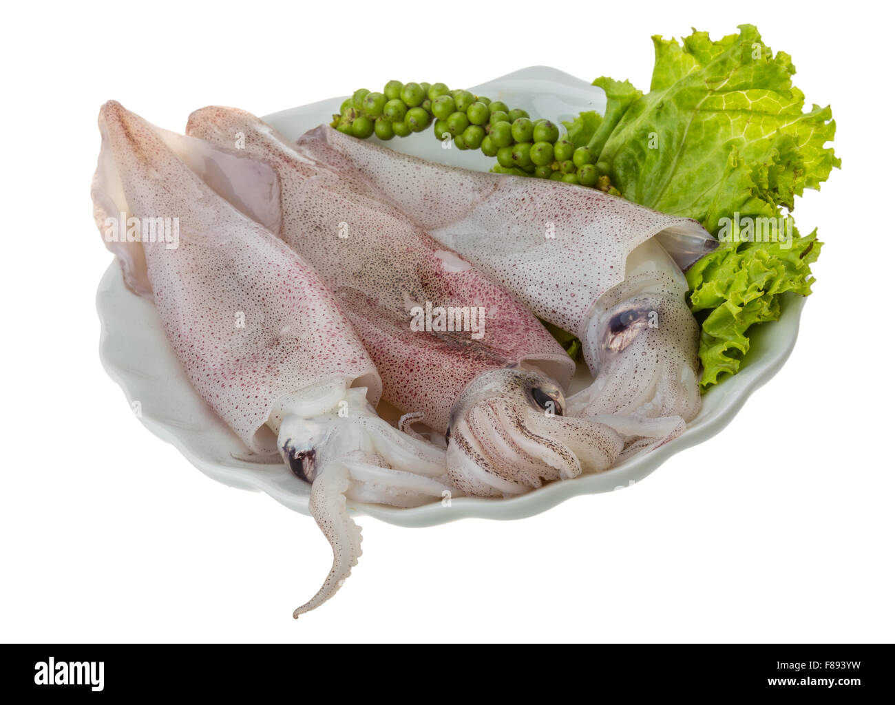 Raw calamari isolated on white background Stock Photo - Alamy