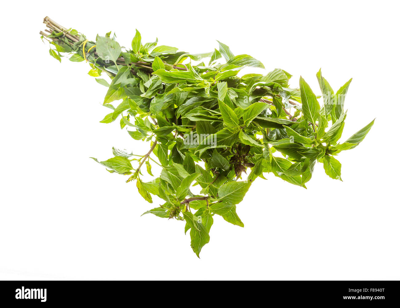 Pepper mint isolated on white background Stock Photo - Alamy