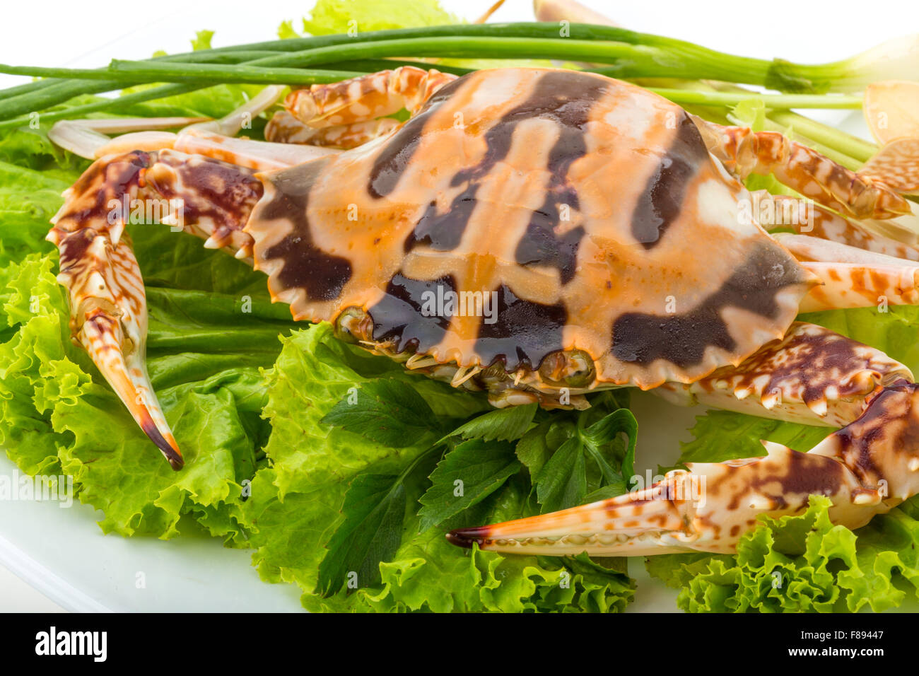 Raw red crab - ready for cooking Stock Photo - Alamy