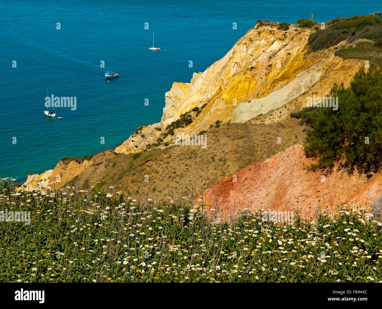 Alum bay coloured sand cliffs hi-res stock photography and images - Alamy