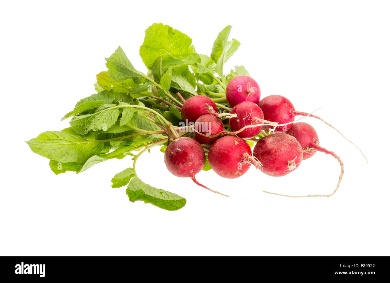 Fresh radish with leaves isolated Stock Photo - Alamy