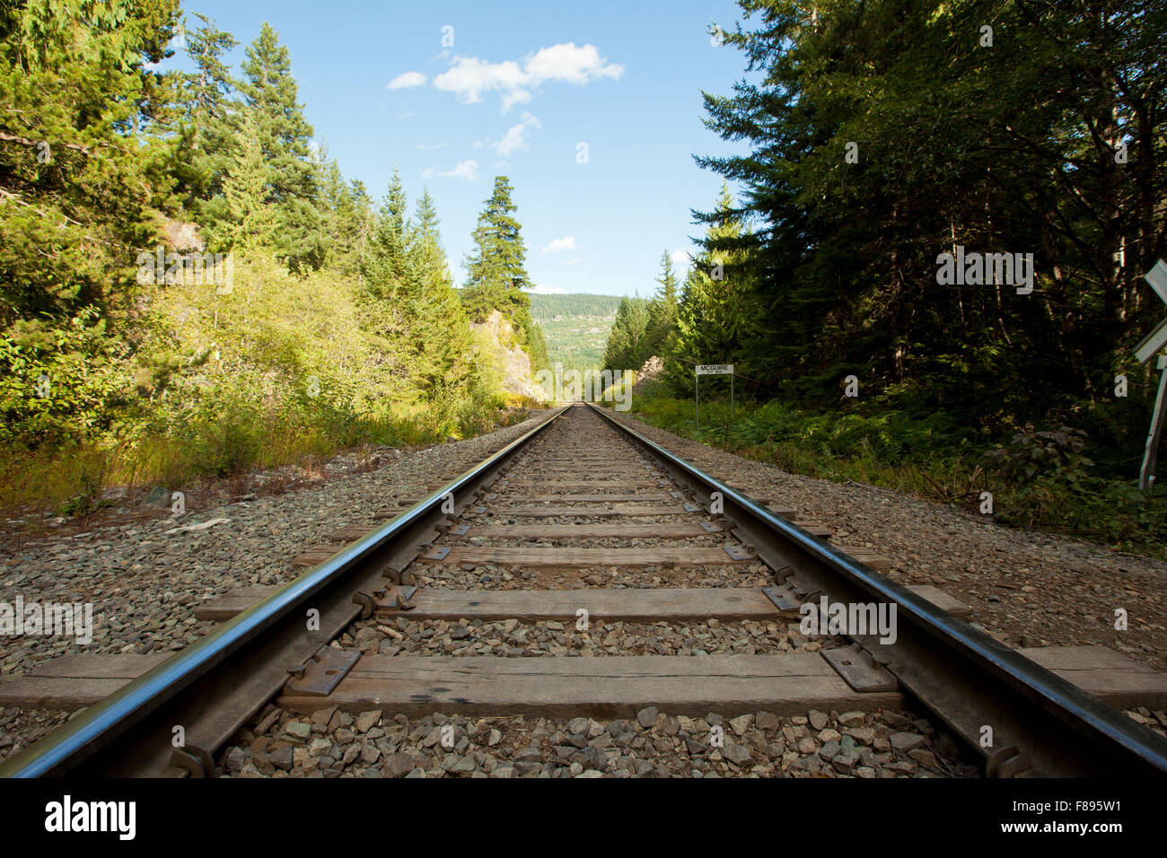 railroad tracks through wilderness Stock Photo - Alamy