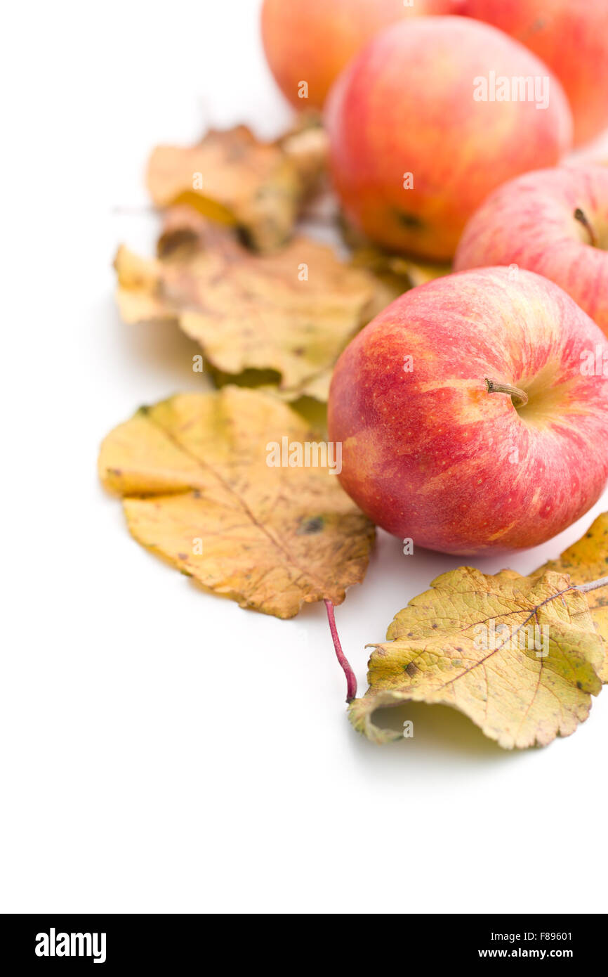 autumn apples and leaves on white background Stock Photo - Alamy