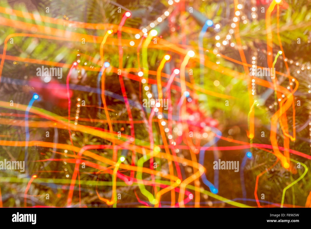 Abstract tree lights hi-res stock photography and images - Alamy