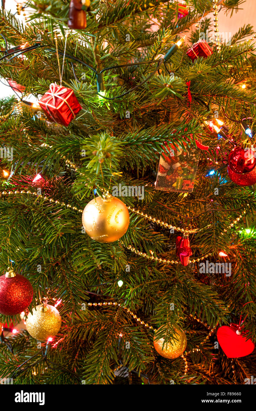 Real christmas tree lights hi-res stock photography and images - Alamy