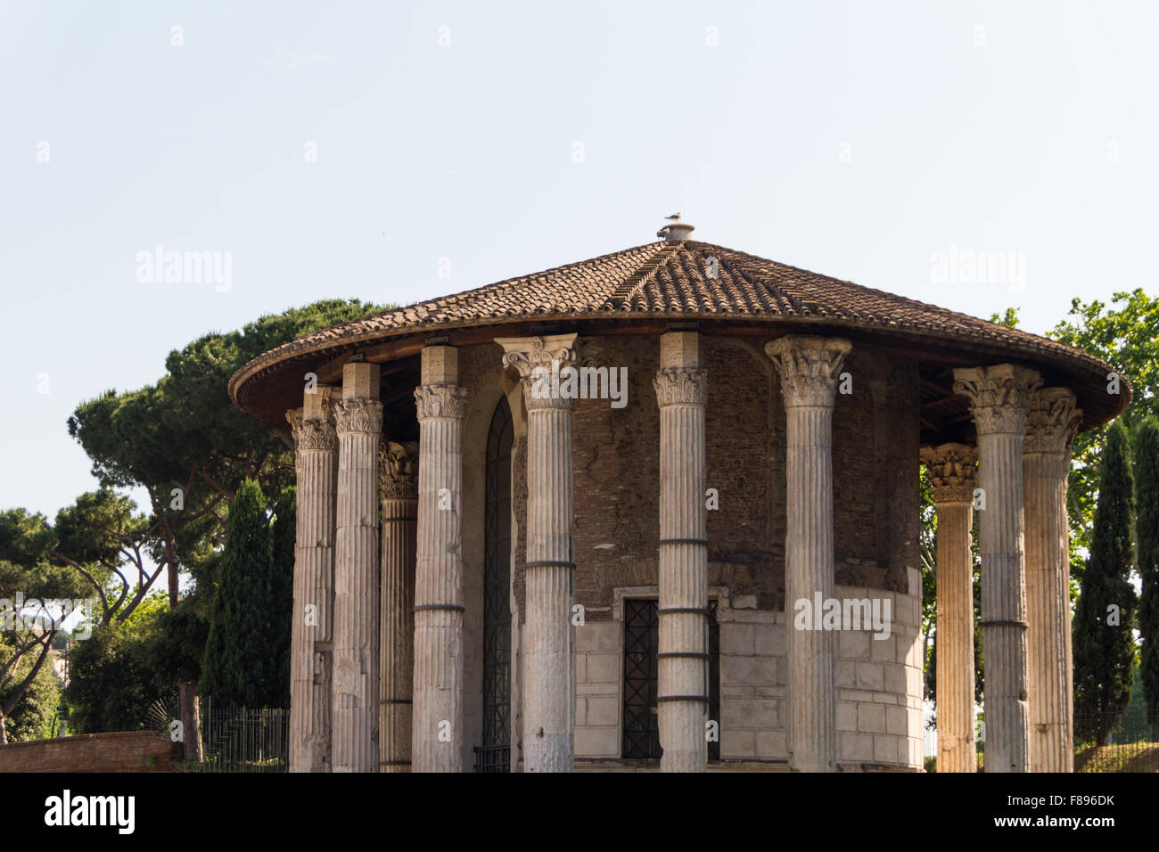 Rome - Vesta temple Stock Photo - Alamy