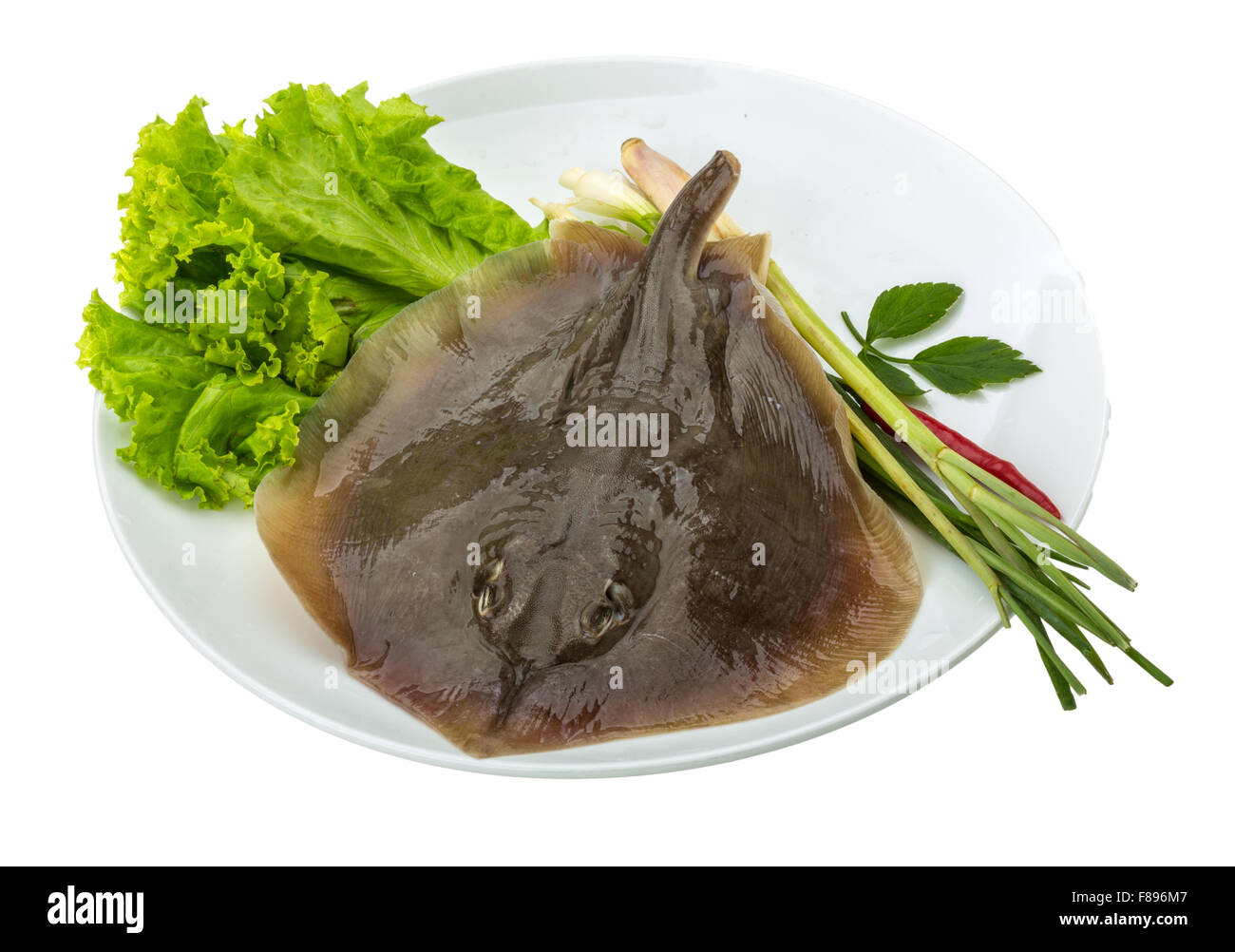 Batoidea sting hi-res stock photography and images - Alamy