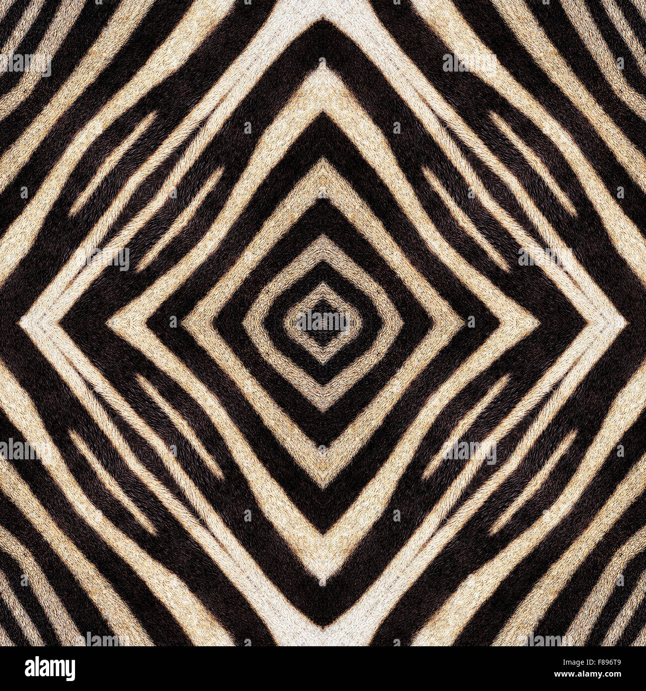 Abstract background of zebra stripes. Beautiful pattern made by the ...