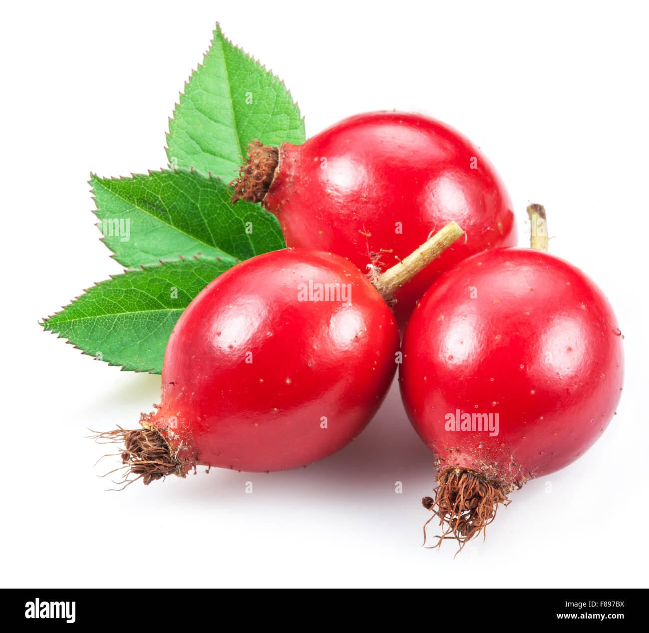 Rose-hips with leaf isolated on a white background Stock Photo - Alamy