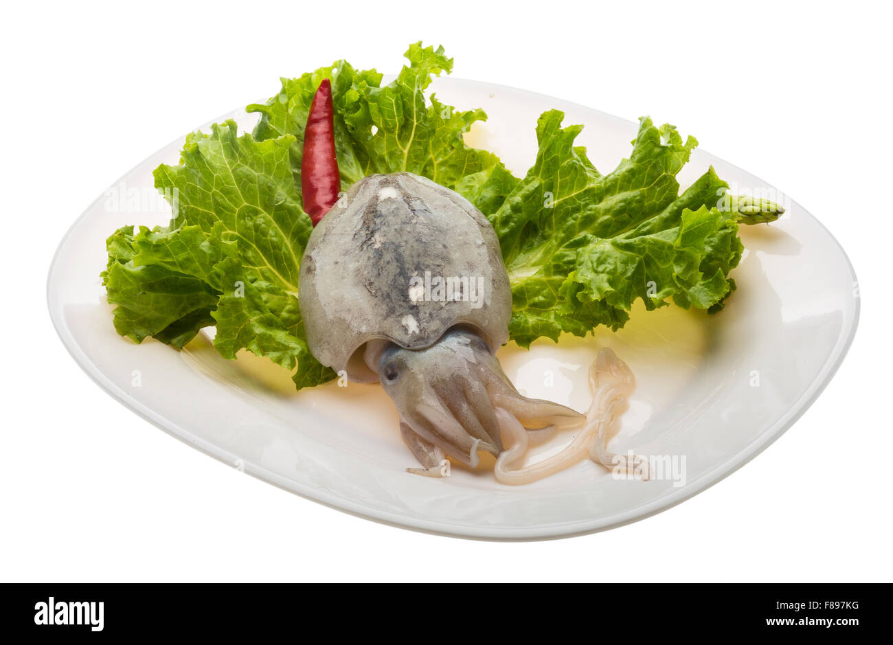 Raw cuttlefish ready for cooking Stock Photo - Alamy