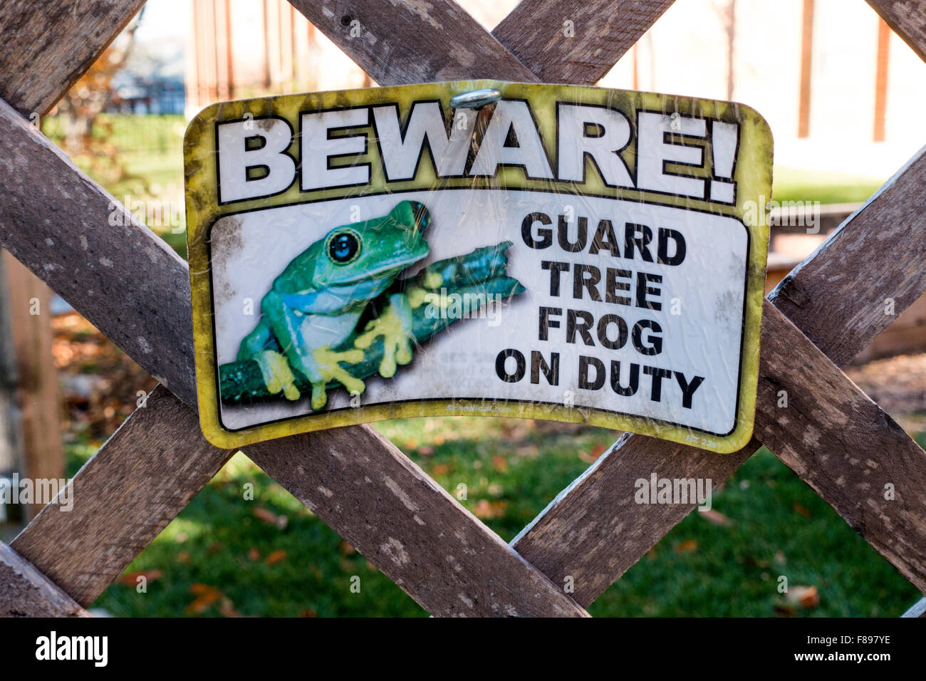 Frog fence hi-res stock photography and images - Alamy
