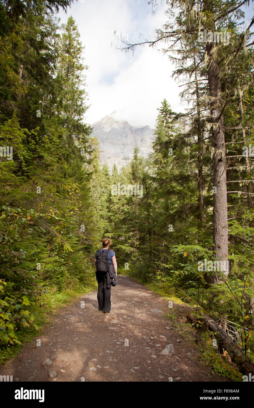 hiker in forest looking at mountain Stock Photo - Alamy