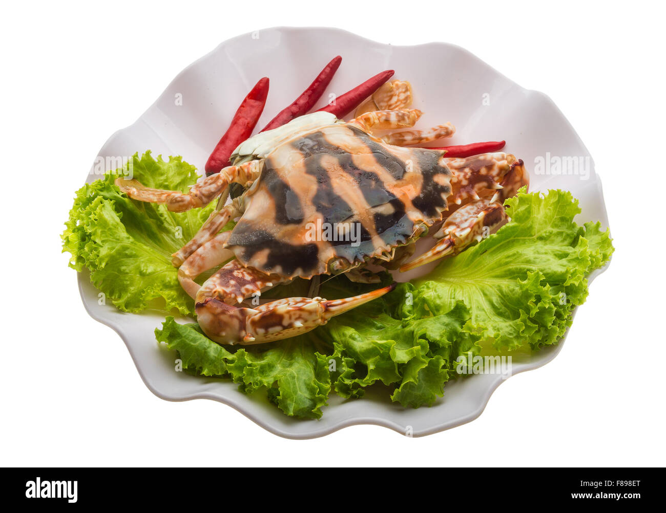 Red crab isolated on white Stock Photo - Alamy