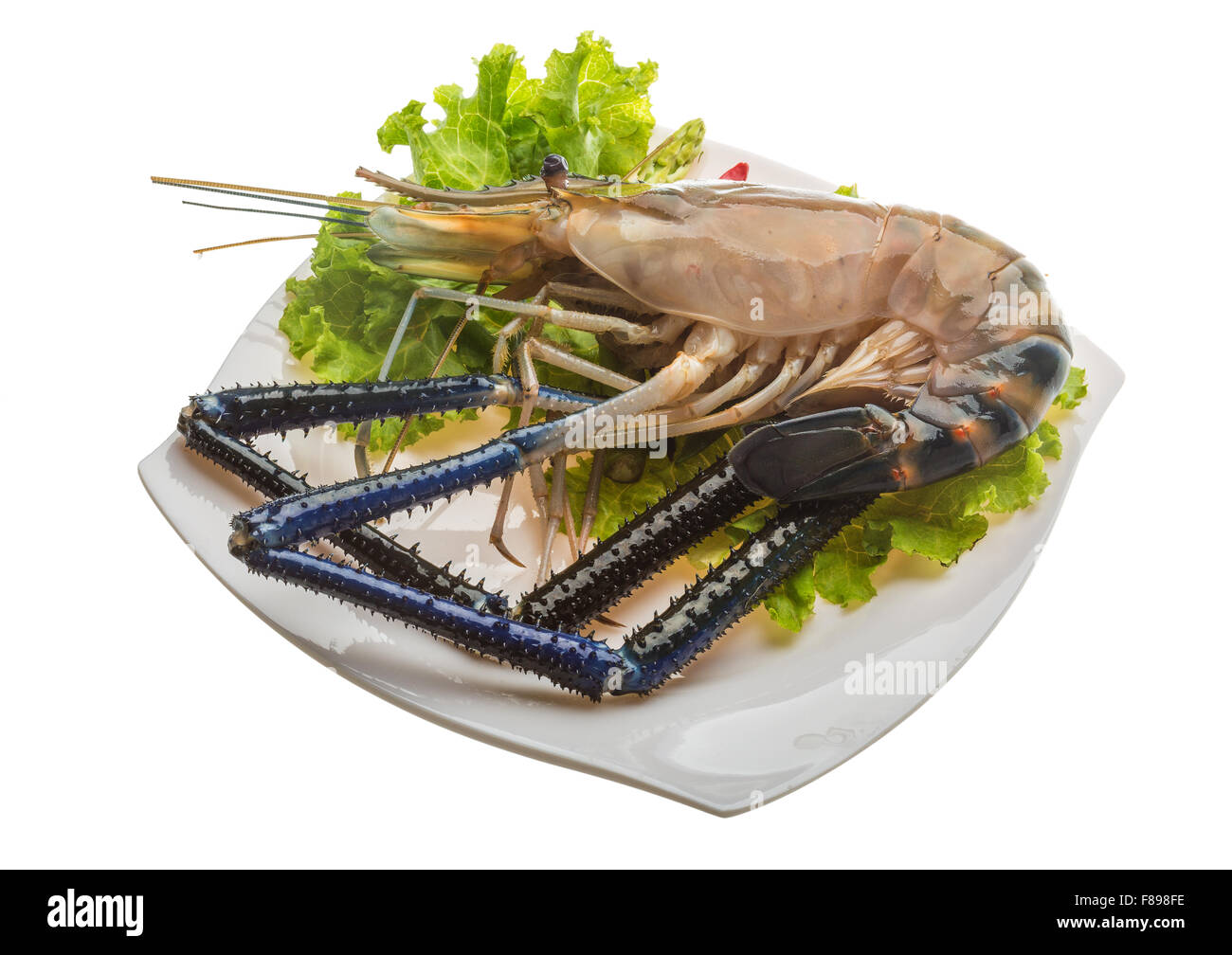 Big Freshwater prawn ready for cooking Stock Photo - Alamy
