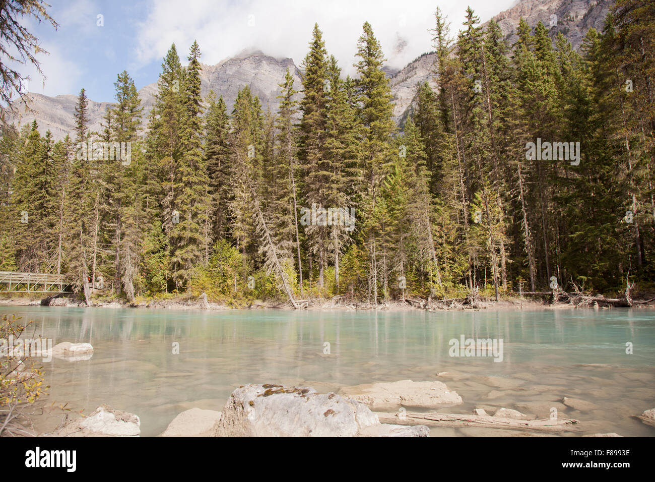 British columb hi-res stock photography and images - Alamy