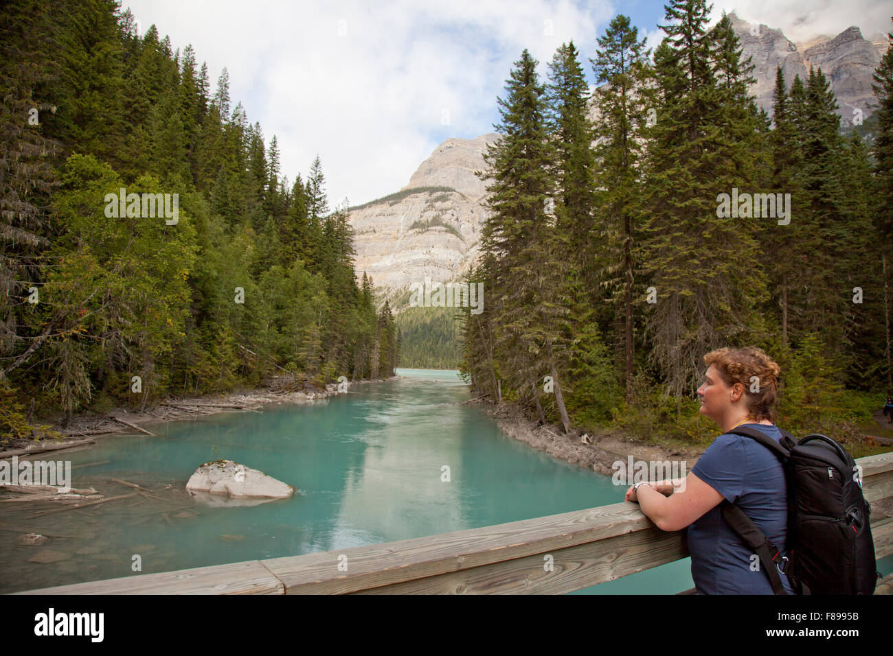 hiker relaxing by robson river in british columbia by kinney lake Stock ...
