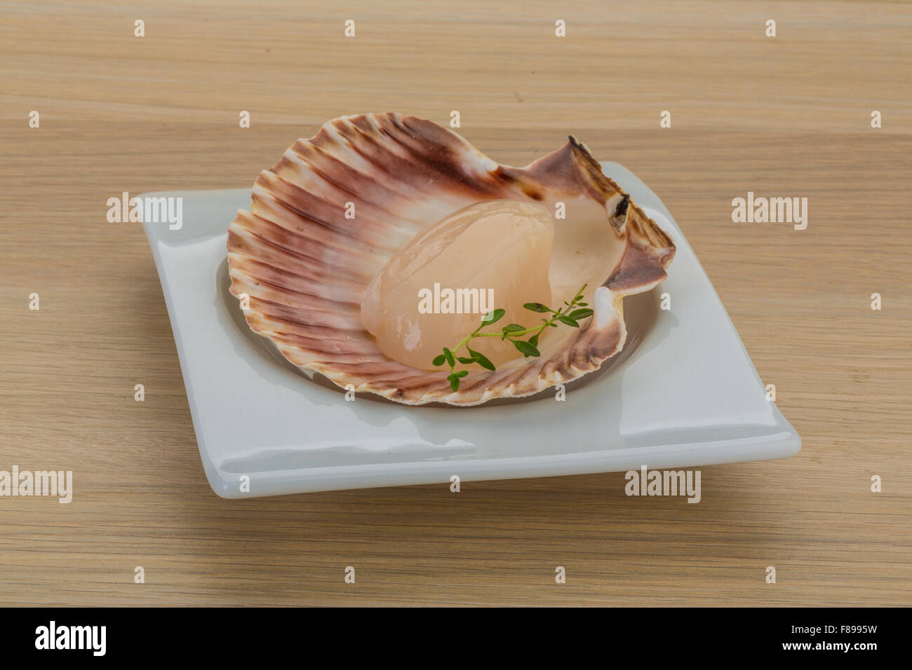 Raw scallops in the shell Stock Photo - Alamy