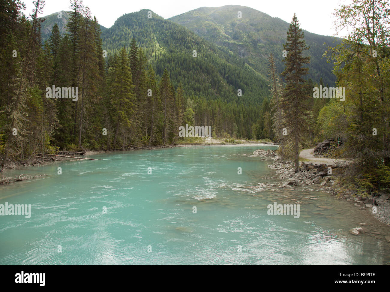 robson river in british columbia by kinney lake Stock Photo - Alamy