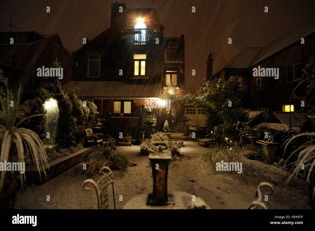 Back winter hi-res stock photography and images - Alamy