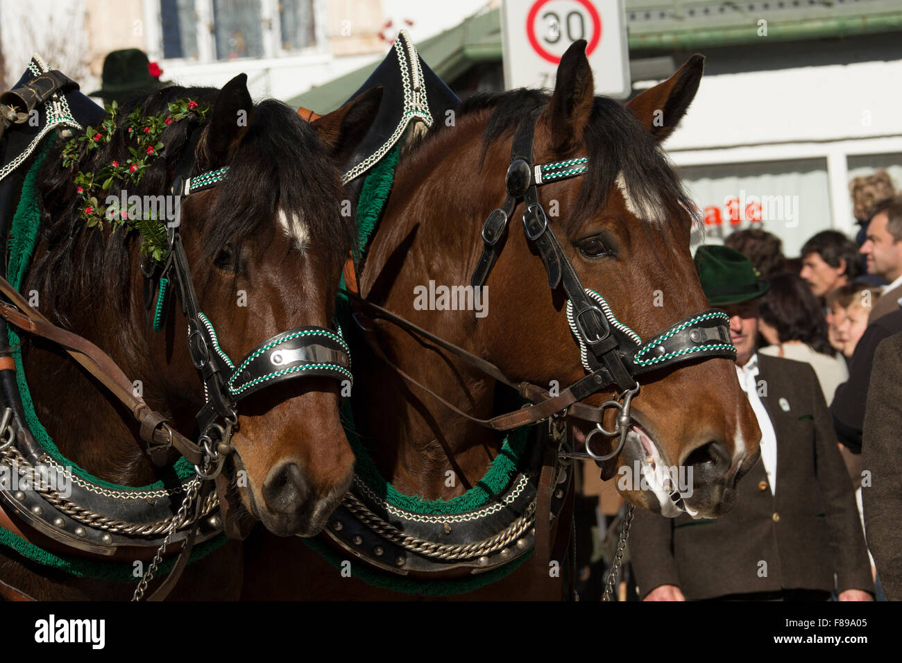 Patron saint leonhard hi-res stock photography and images - Alamy