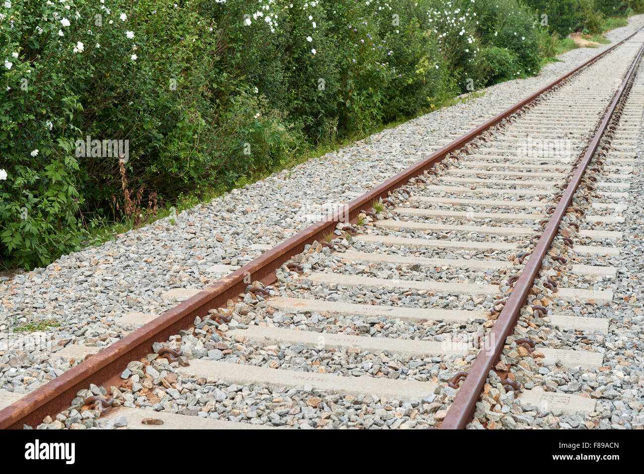 old rusty railroad in Busan, Korea. The train tracks between Haeundae ...